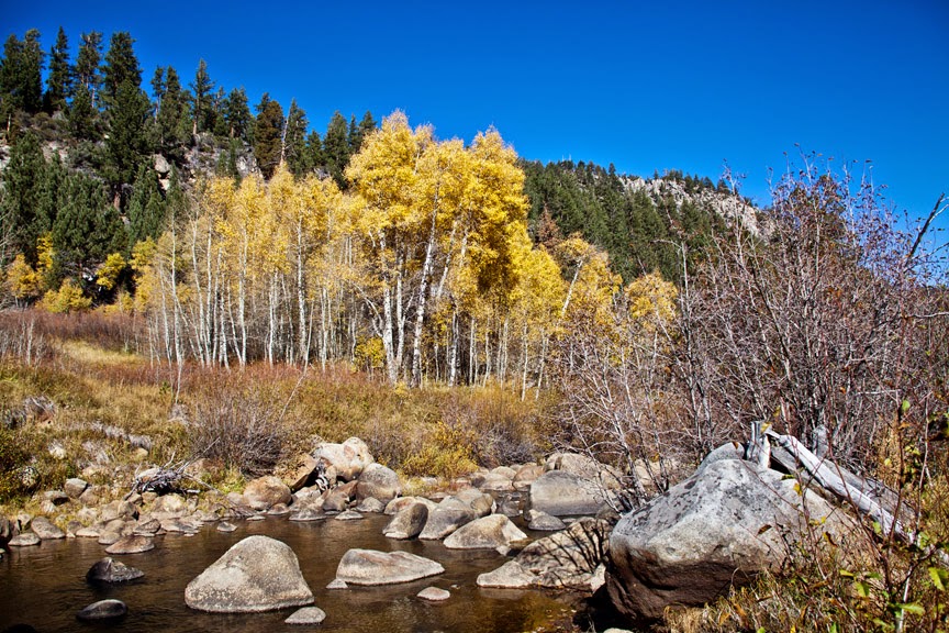 Steve Batson's Photo of The Day