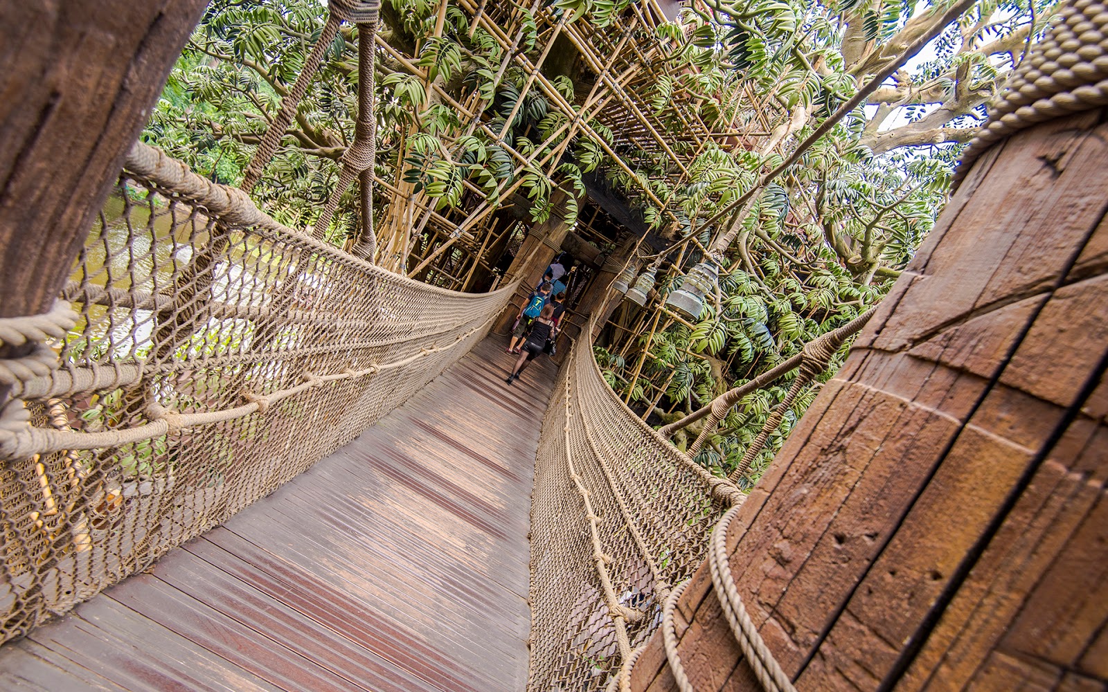Tarzan's Hong Kong Treehouse