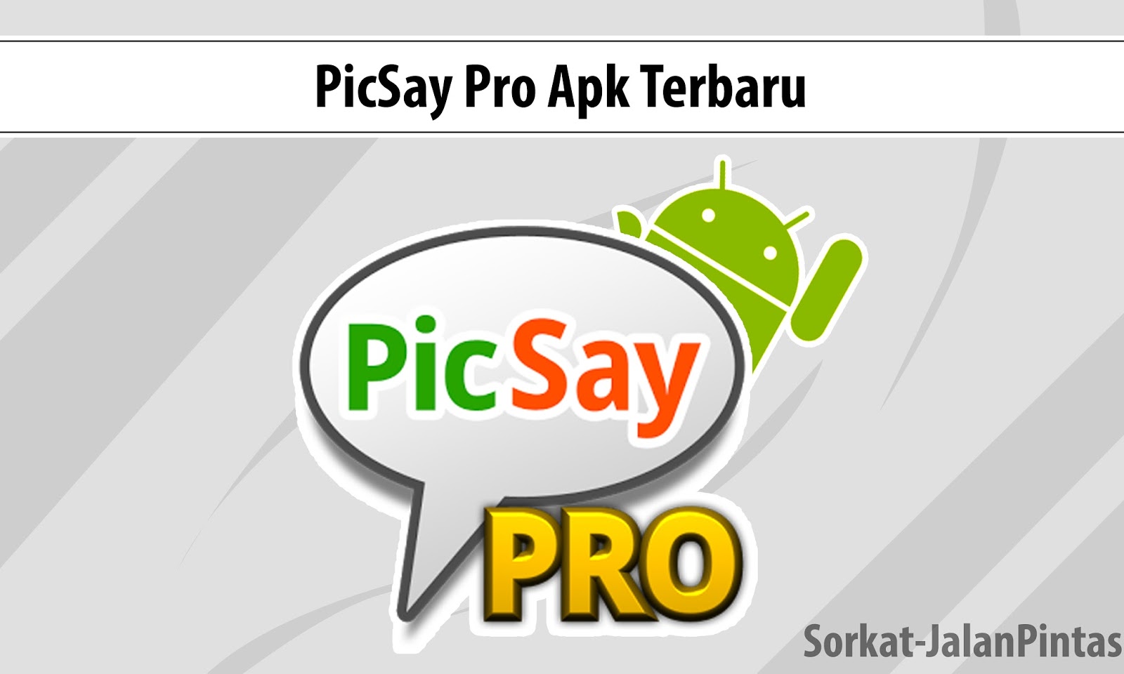 PicSay Pro 1.8.0.5 Apk Terbaru - Sorkat-JalanPintas