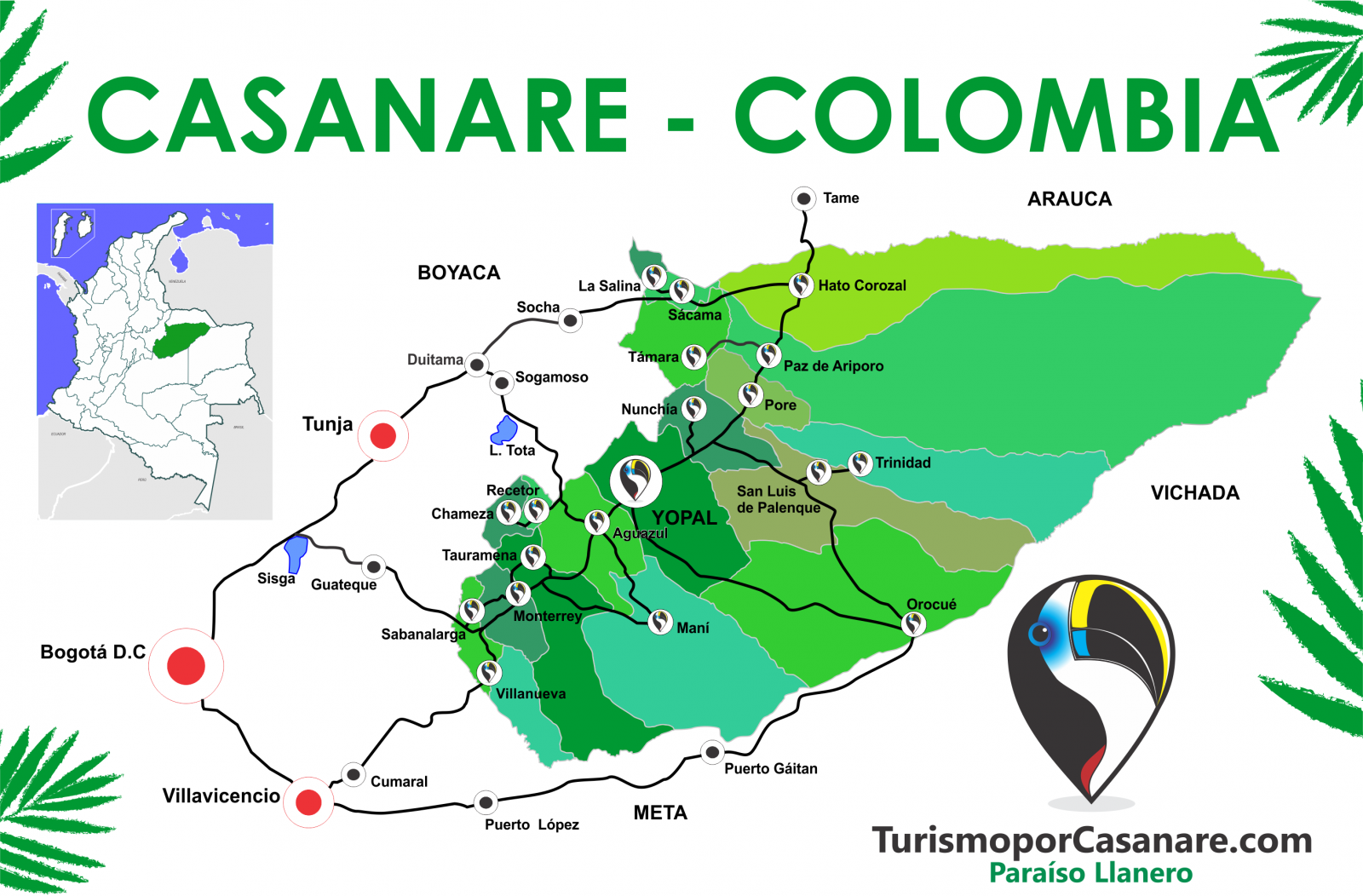 Diversidad En Casanare: CASANARE