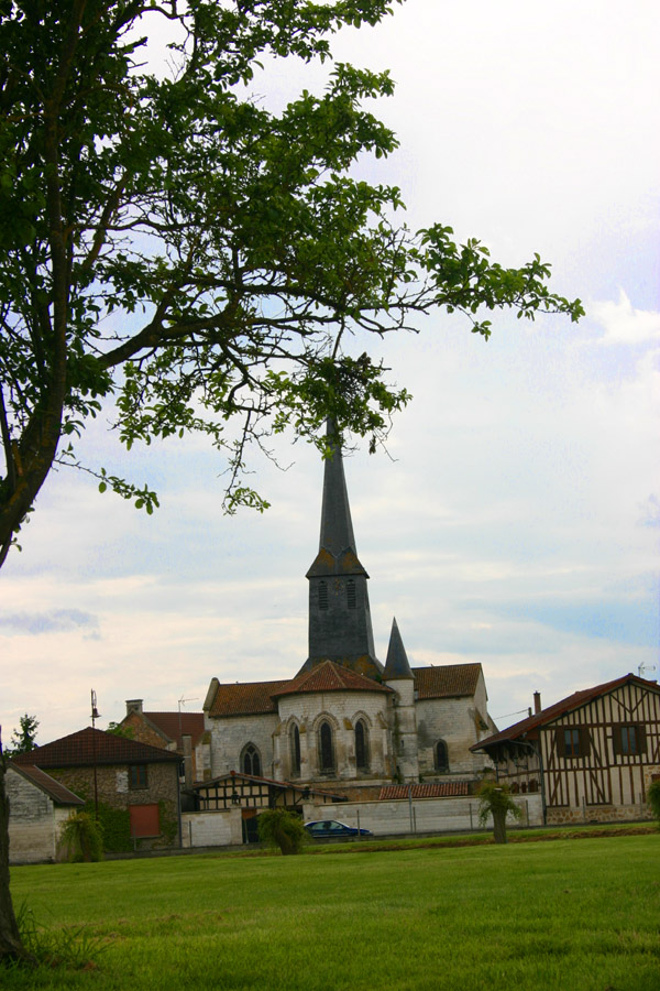 Marie-Angélie, la fille sauvage de Songy