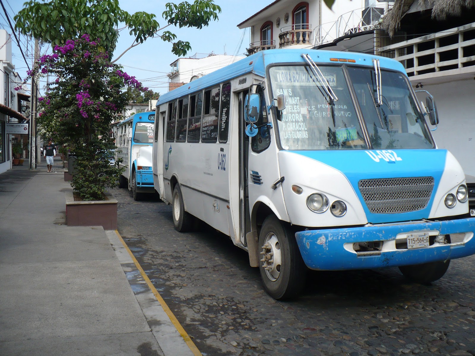 Shmoo Report: The Blue Buses of Puerto Vallarta