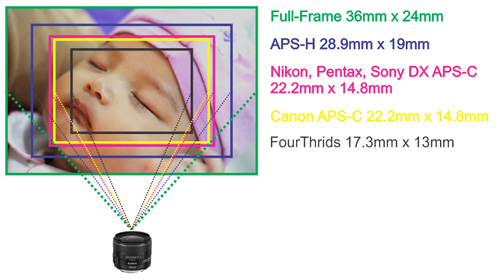 go.. Go.BLOG!!!: Ukuran Sensor Pada Kamera Digital-SLR