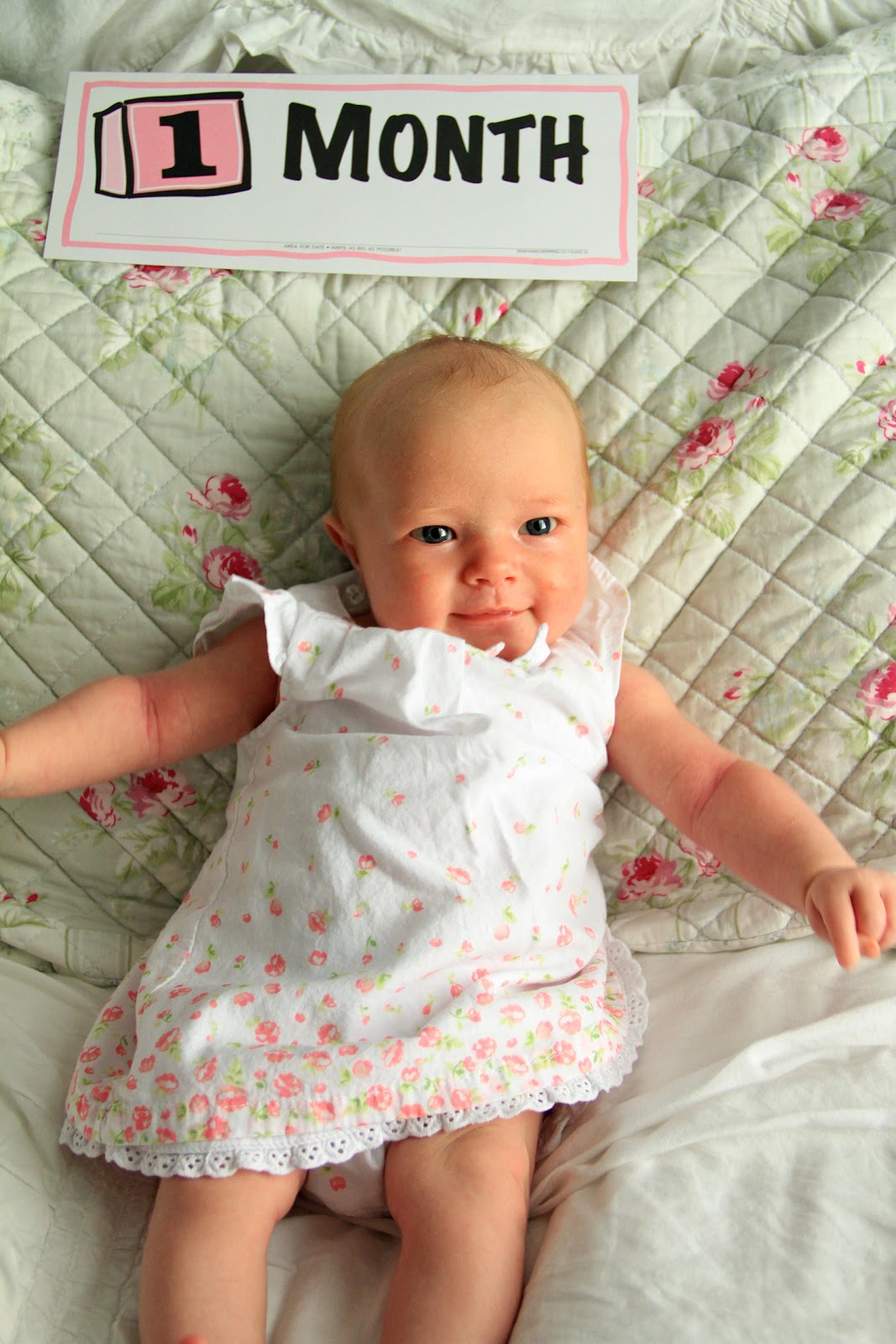 lassoing the moon: I'm One Month Old Today!