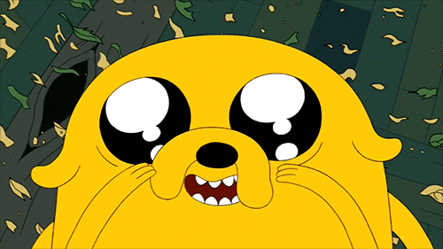 Hora de Aventuras en Pantuflas!: jake el perro