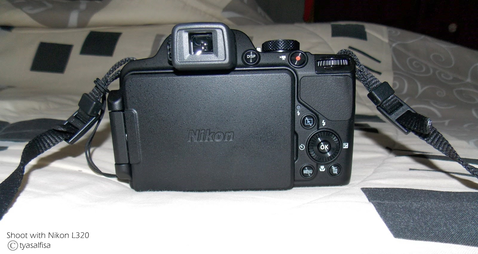 The Rooftop Journal: New Camera! Nikon Coolpix P520