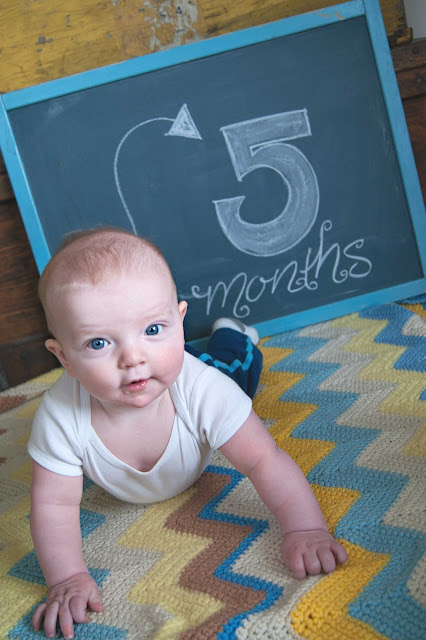 Belly Tales {5 months} | Averie Lane: Belly Tales {5 months}