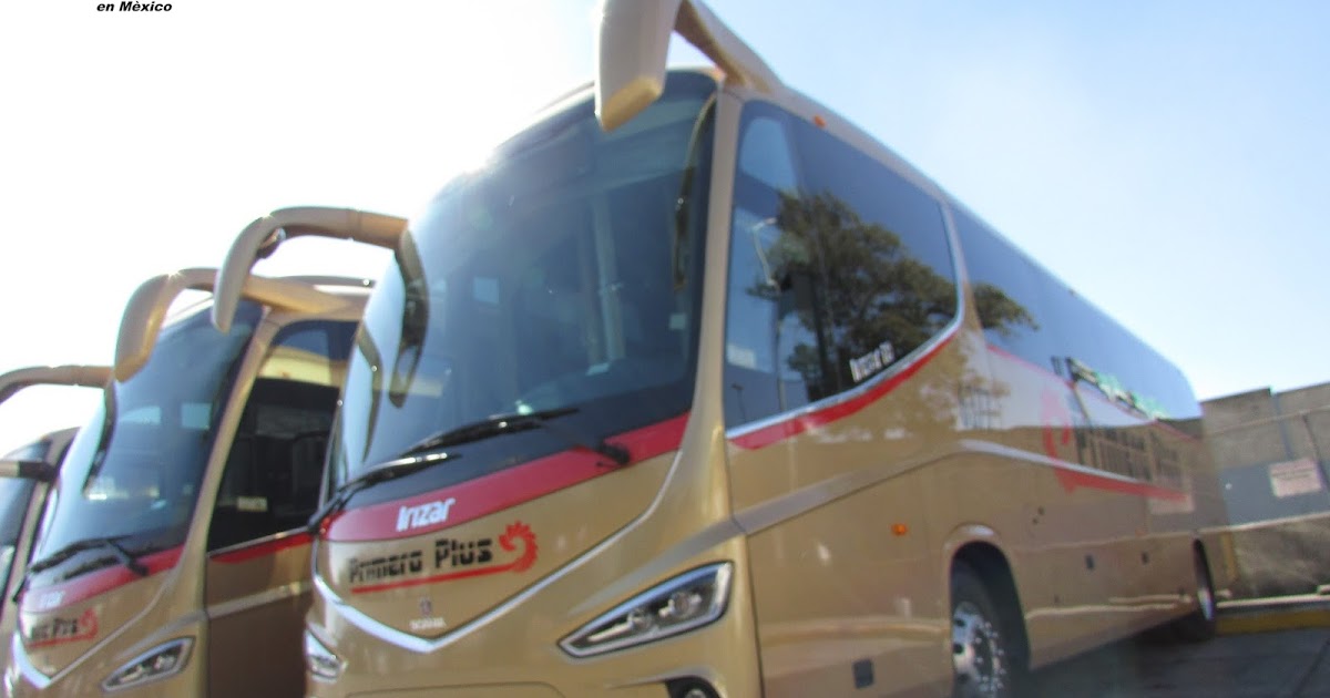 Primera Plus vs ODM Plus