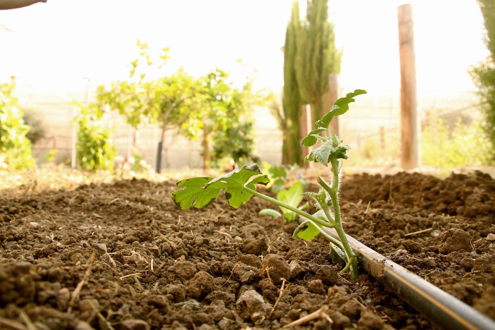 Produced in Cyprus: Riverland Diary Bio Farm – your first choice for ...