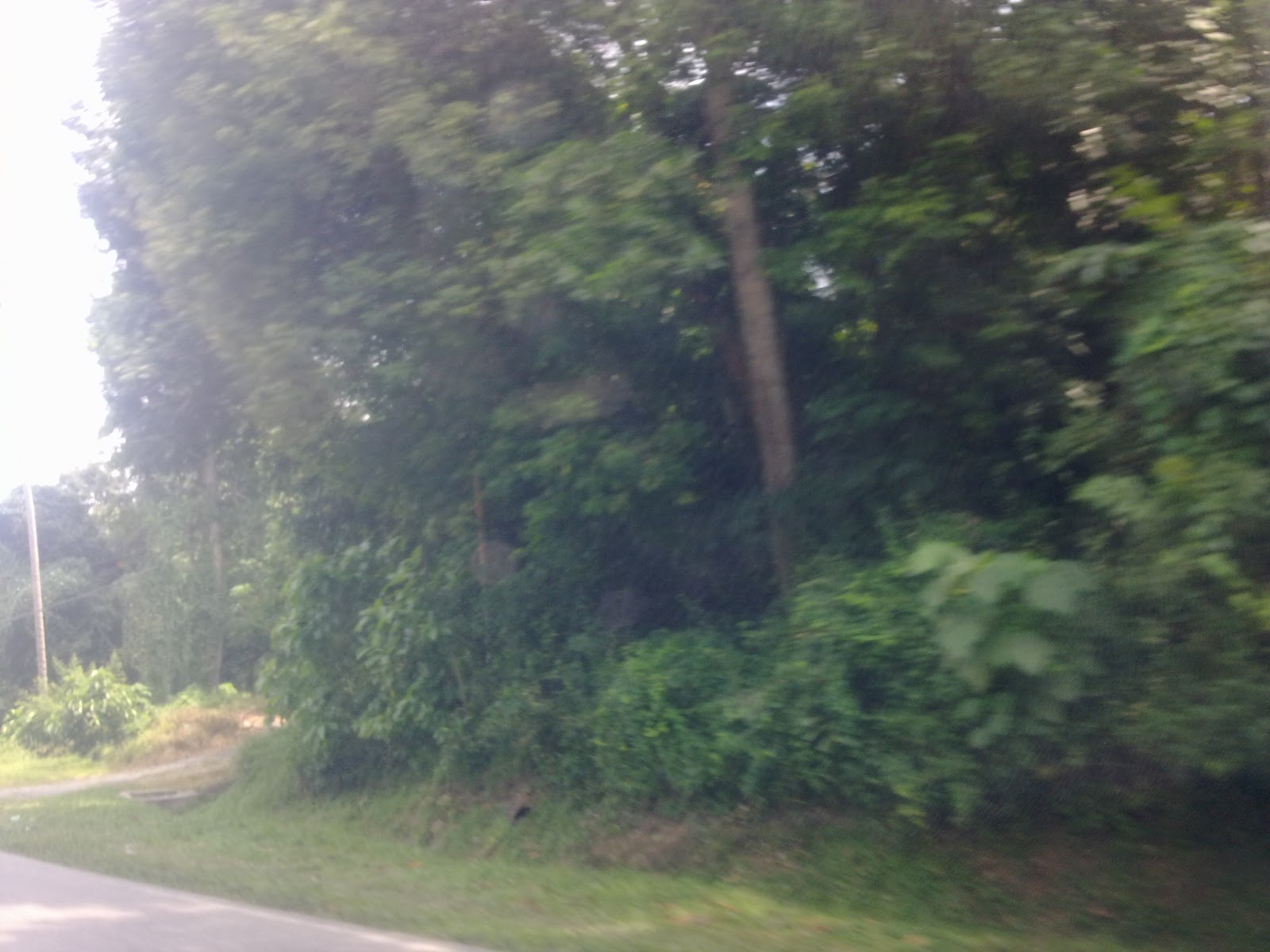 MeNarA KehiDupaN: Trip to Penang Island - Batu Maung - Permatang Damar Laut