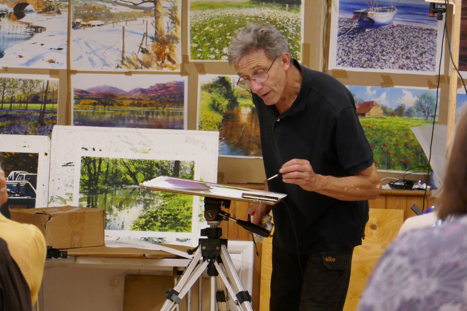 Virginia Water Art Society Diary: 2017