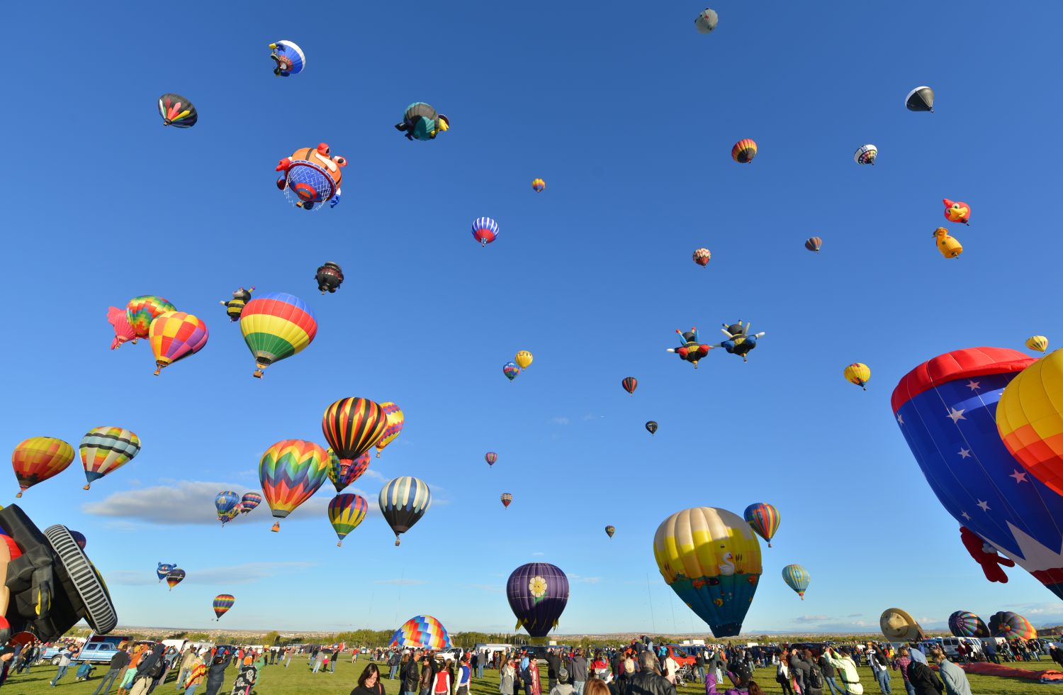 A school of fish: Albuquerque Balloon Fiesta