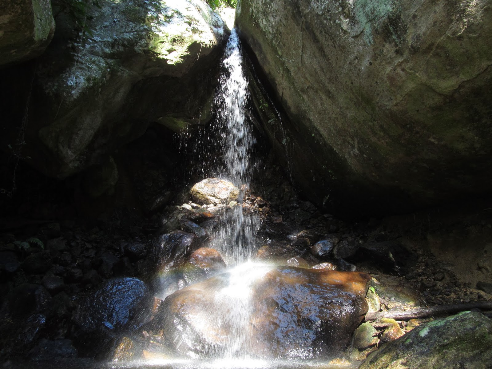 Trilhas e Pedais : Caminho do Quitite - Trilha do reencontro