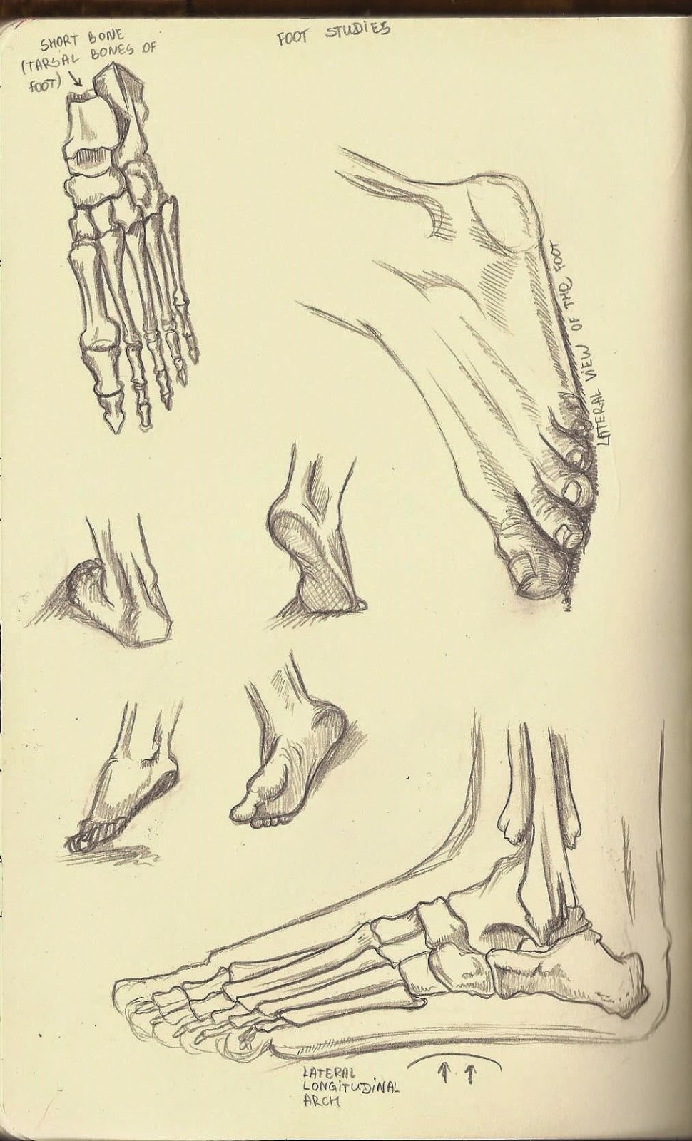 Vlad Yankov BA (HONS) Computer Animation Arts UCA Rochester: Little ...