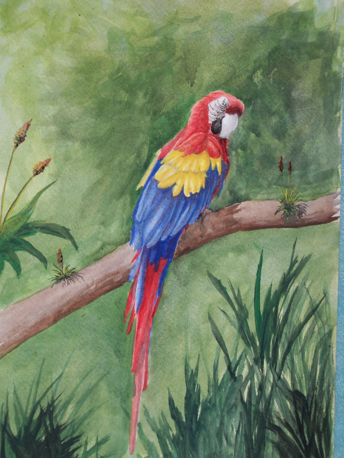 Jungle and Rainforest Art of Costa Rica: Wildlife Paintings and Photographs