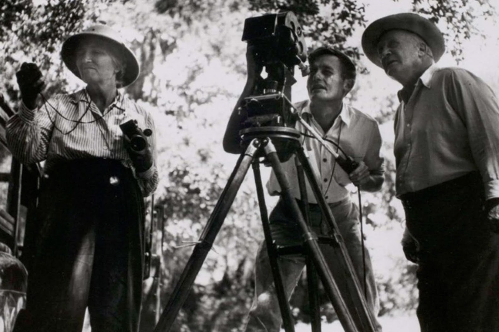 vividreports: Revisiting Robert Flaherty