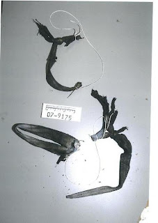 The New Haven Register Blogs: Joshua Komisarjevsky Trial Blog: She was ...