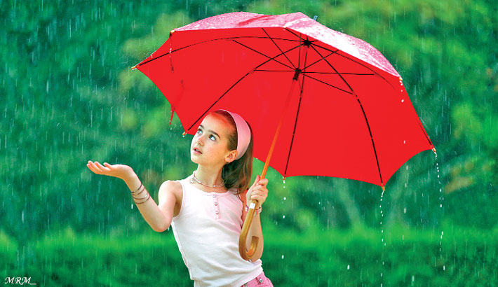 Wet Season ~ All HD Picture