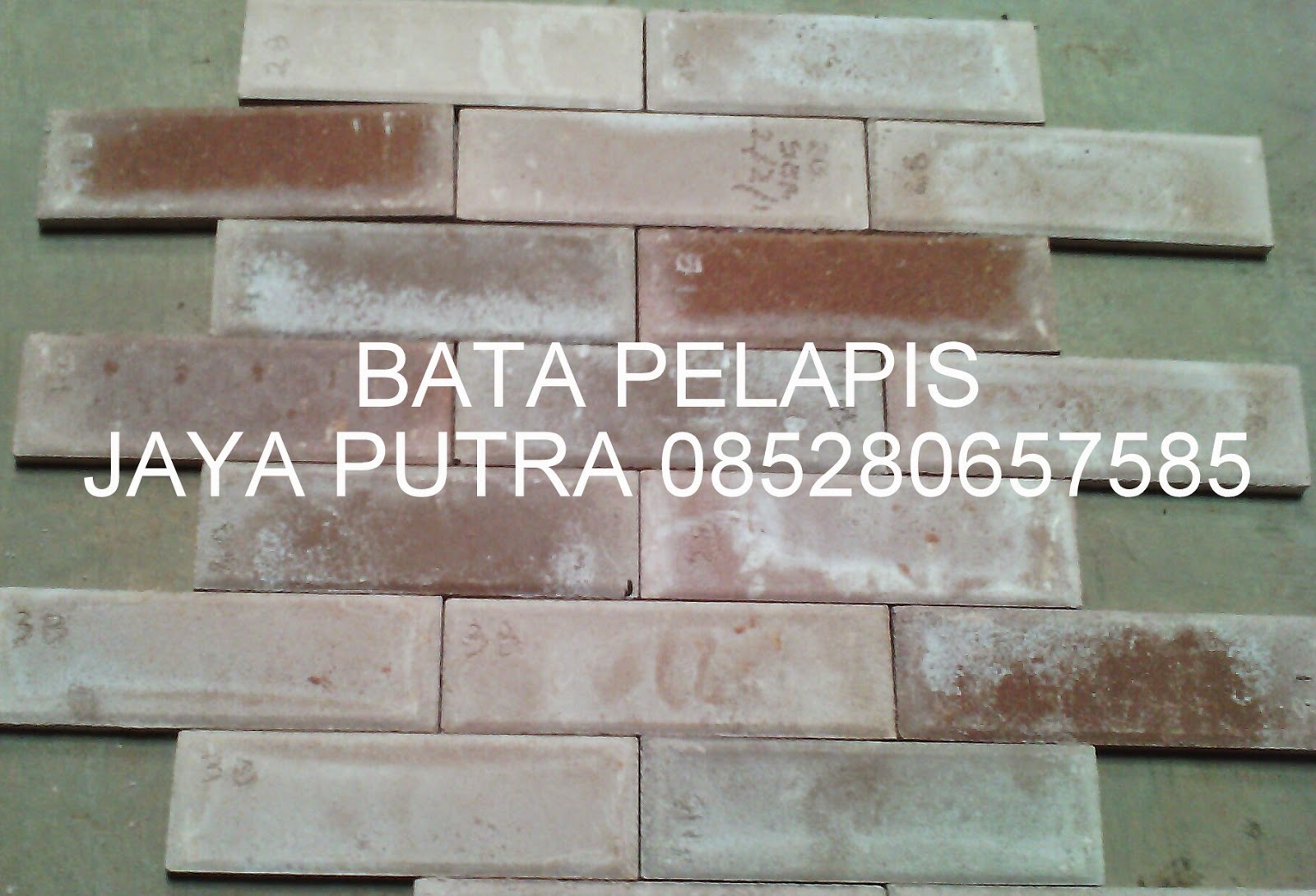 BATA EXPOSE | BATA PELAPIS