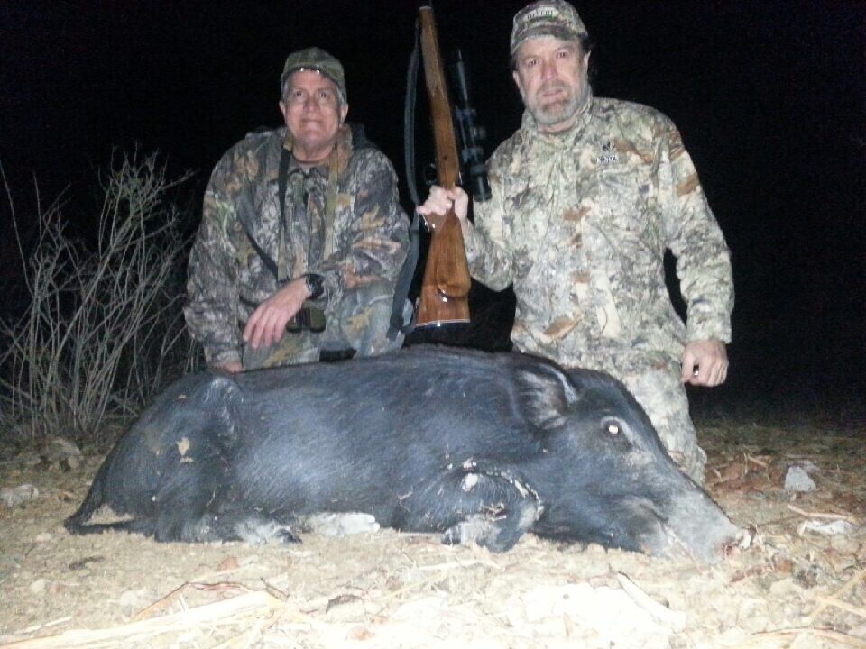 Cazador Mexicano: Enorme marrano alzado