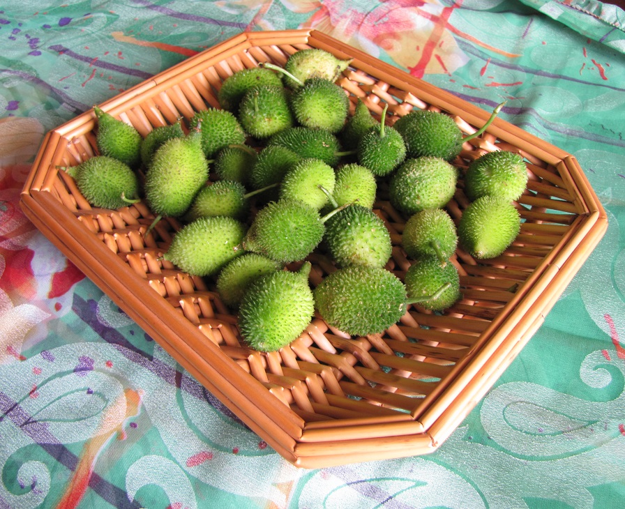 Aakakarakaya /Spiny Gourd Fry - Dapur Bunda