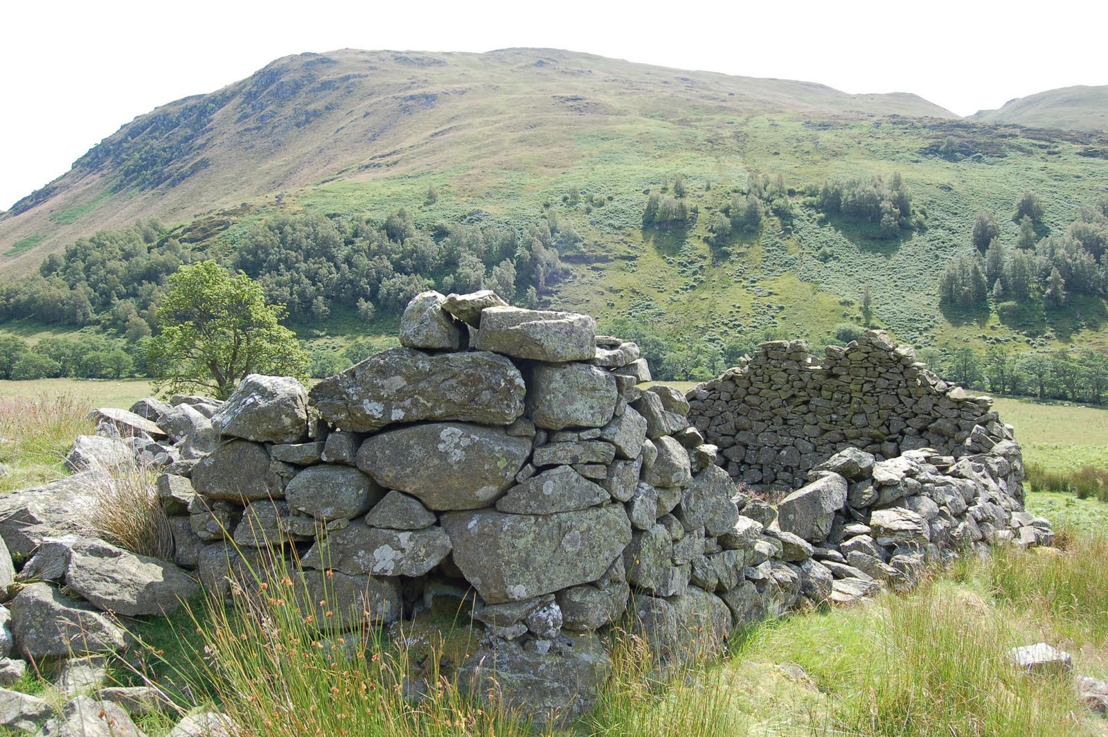 The Highland Clearances. 'Fuadach nan Gàidheal': Craig Navar Township ...