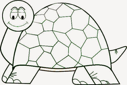 Rules of the Jungle: Turtle Pictures to Print and Color