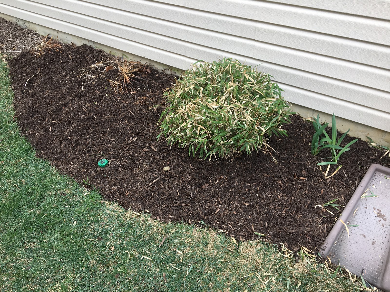 Spring Mulch Before Week of Freezing Temps [Backyard Neophyte ...