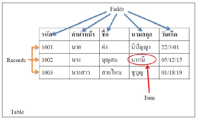 บทที่ 3 การสร้างตาราง: ส่วนประกอบของตาราง