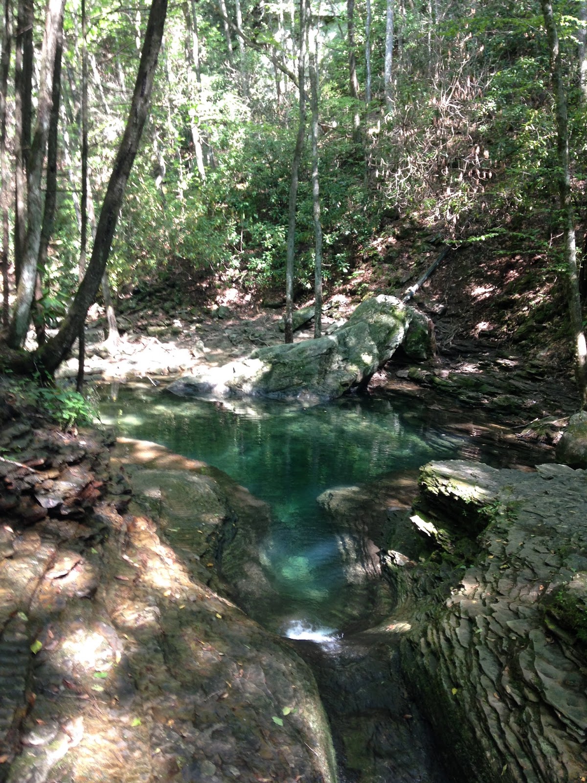 Serving where the need is great in Phelps, KY