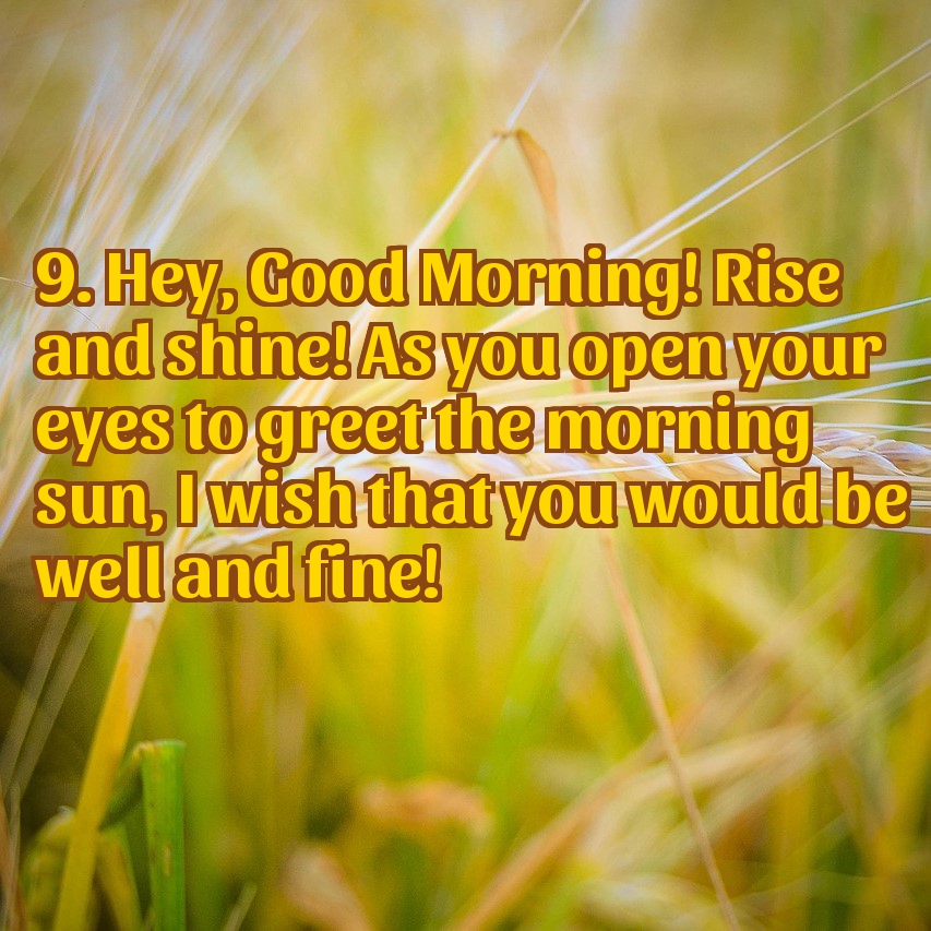 10 Good Morning Wishes | Facts About All