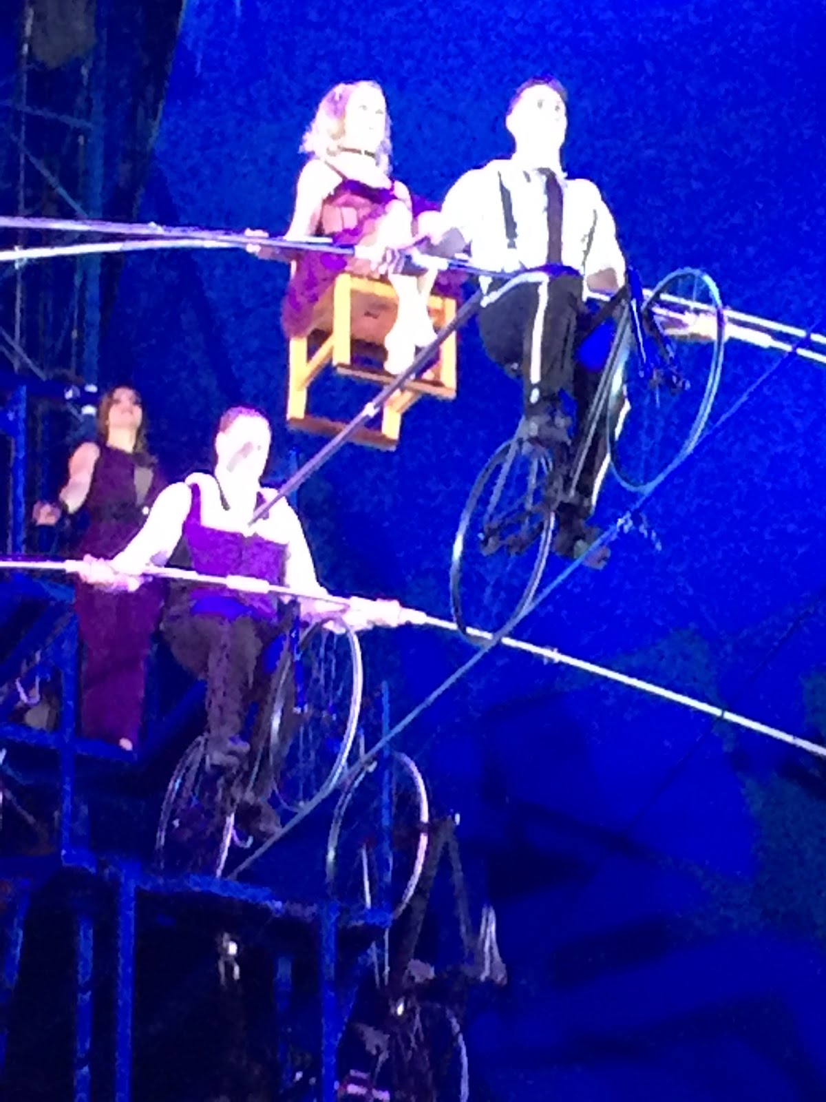 Says Me Says Mom: Ten Fun Things at the Circus