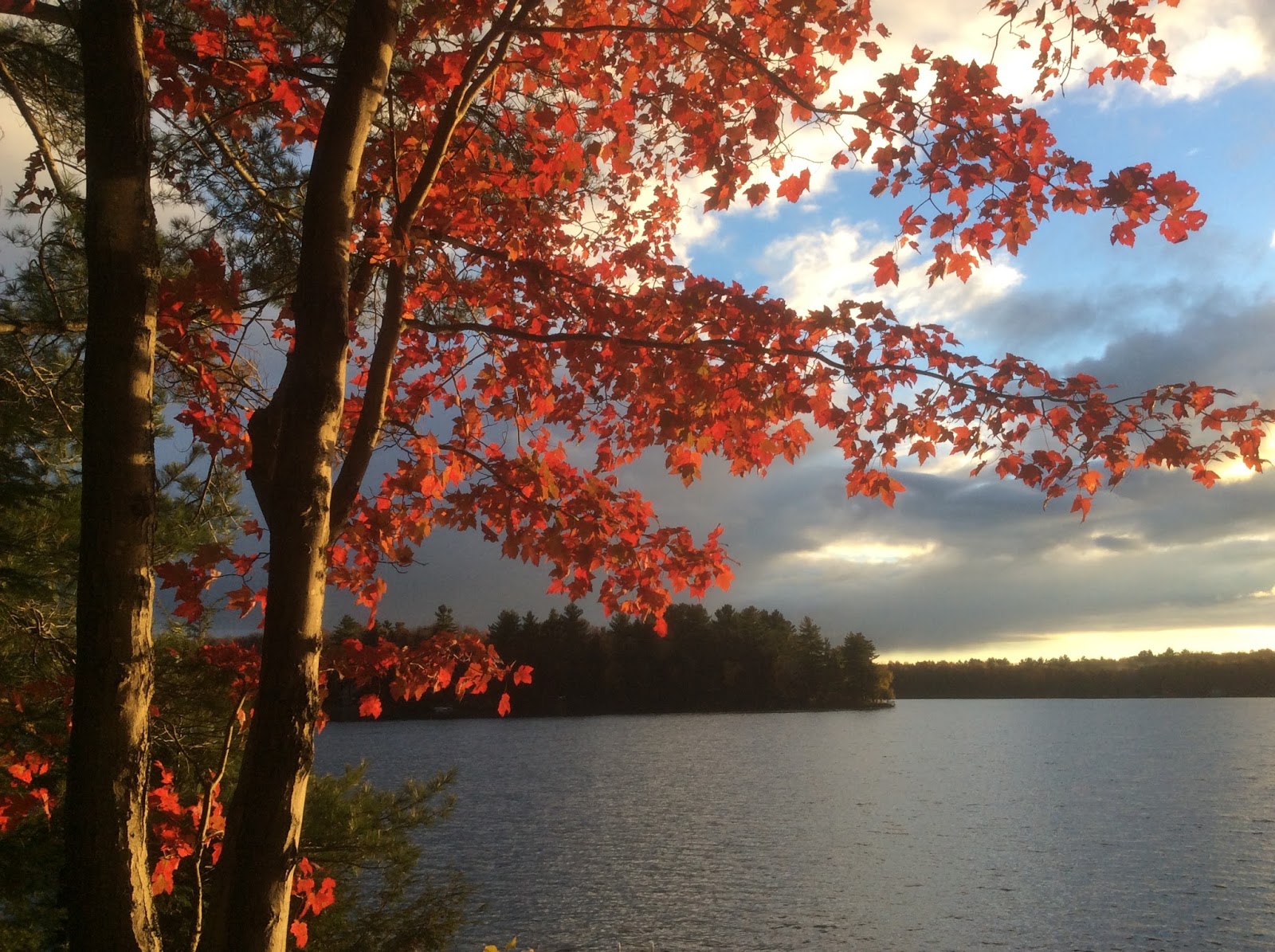 Leech Lake, Muskoka: Fall Colours