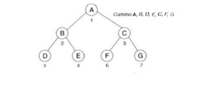 Programacion Basica : Arboles Binarios