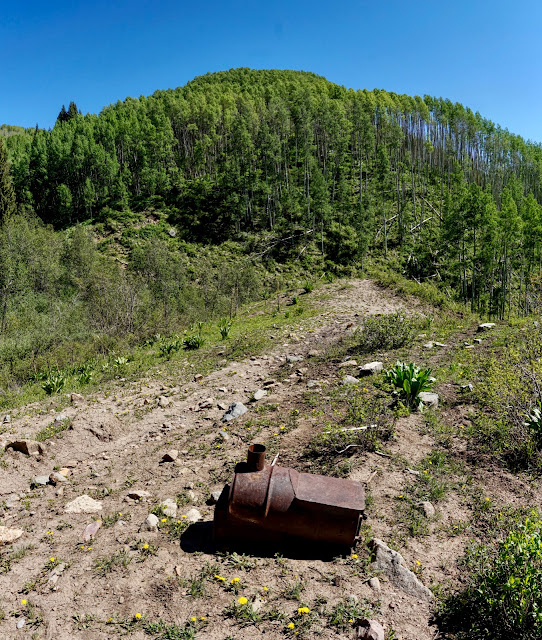 Earthline: The American West: Burnt Timber Trail, Point 11,003' and ...