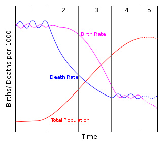 Demographic Transition Theory or Demographic Cycle | Community Medicine ...