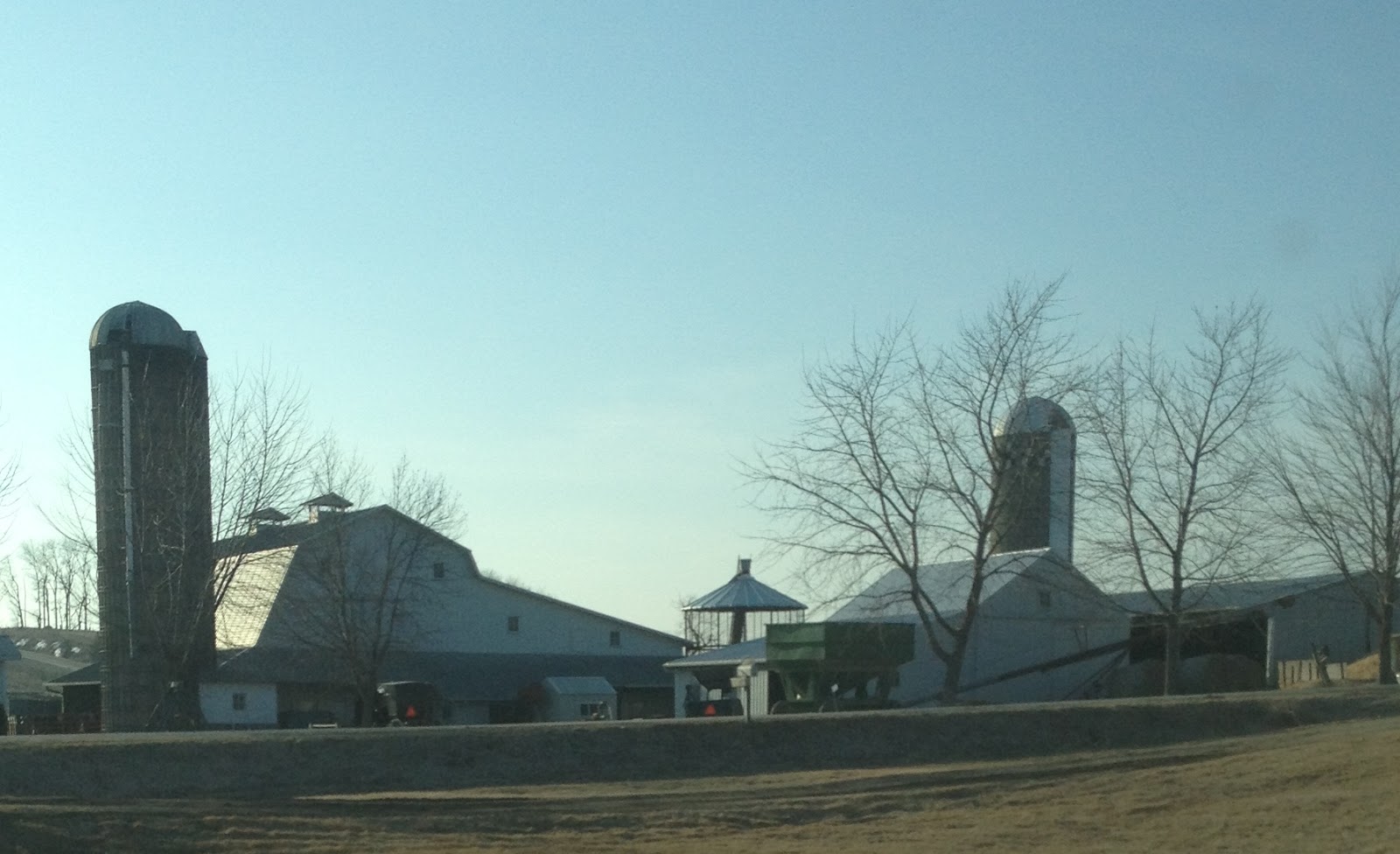 Amish Horses: Amish Farm Tour
