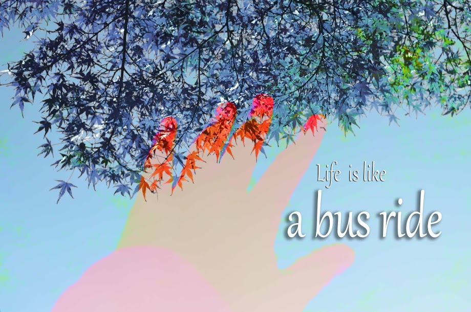 Life is Like a Bus Ride