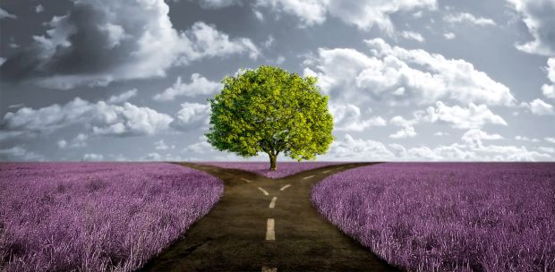 Projeto ICOM: Os dois caminhos