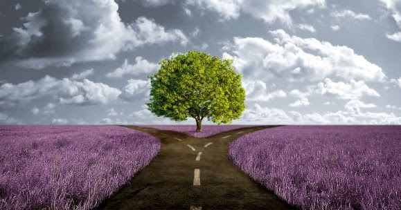 Projeto ICOM: Os dois caminhos