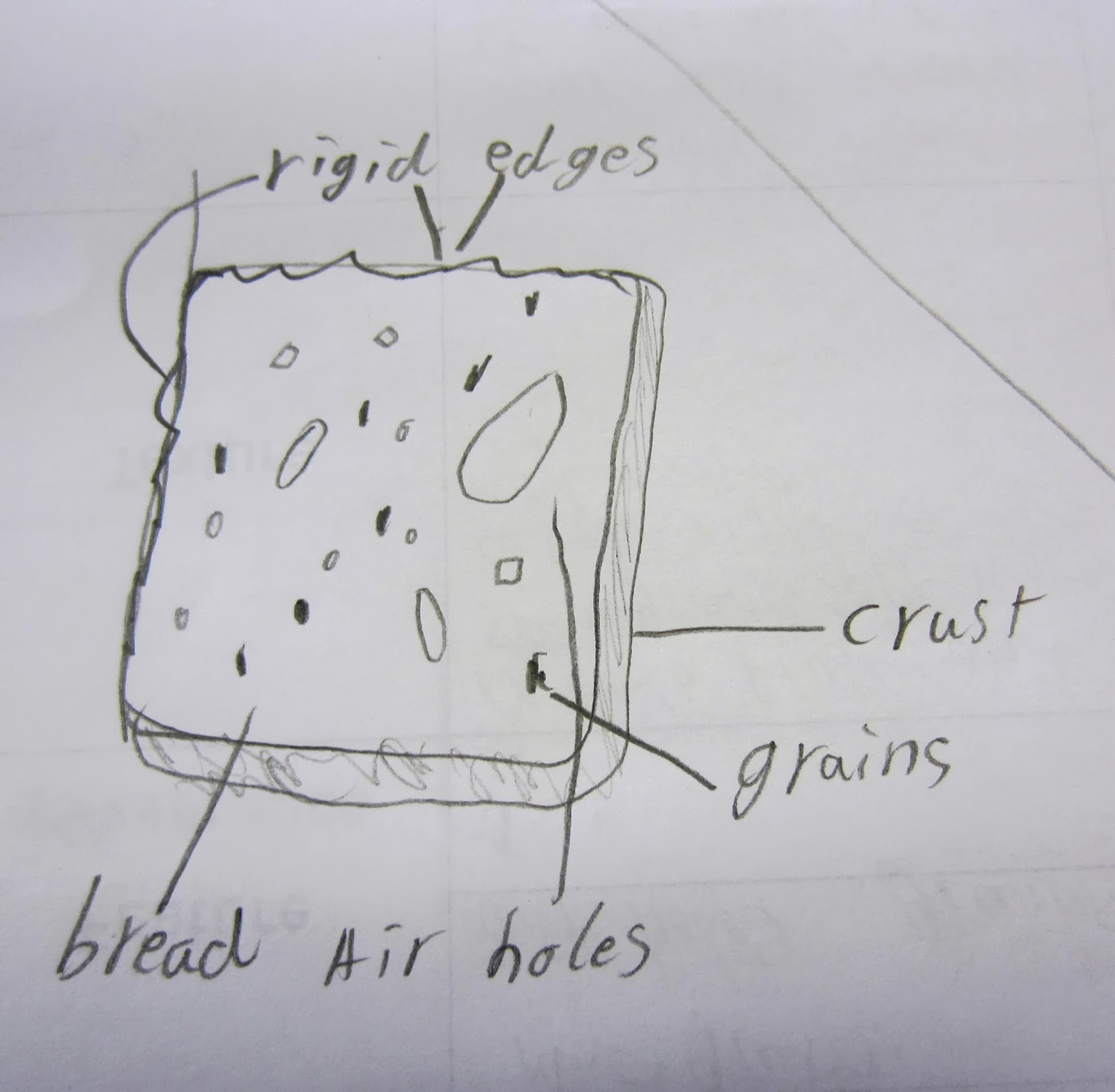 Blackmans Bay Primary News - 5/6 Coote/Miller: Exploring Bread ...