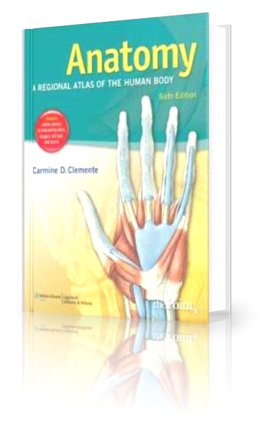 Surgery Made Easy: Anatomy: A Regional Atlas of the Human Body 6th ( PDF )