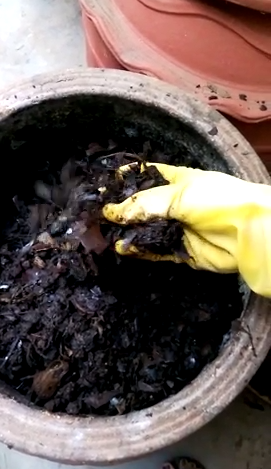 Let's Heal The Soil : Ways of Composting at home
