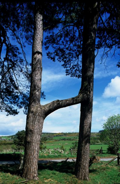 City & Guilds Photography Chris Level 2: Research - Theme One - Archie ...