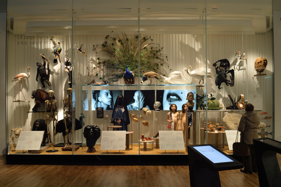 La programmation culturelle du Cercil-Musée Mémorial des enfants du Vel ...