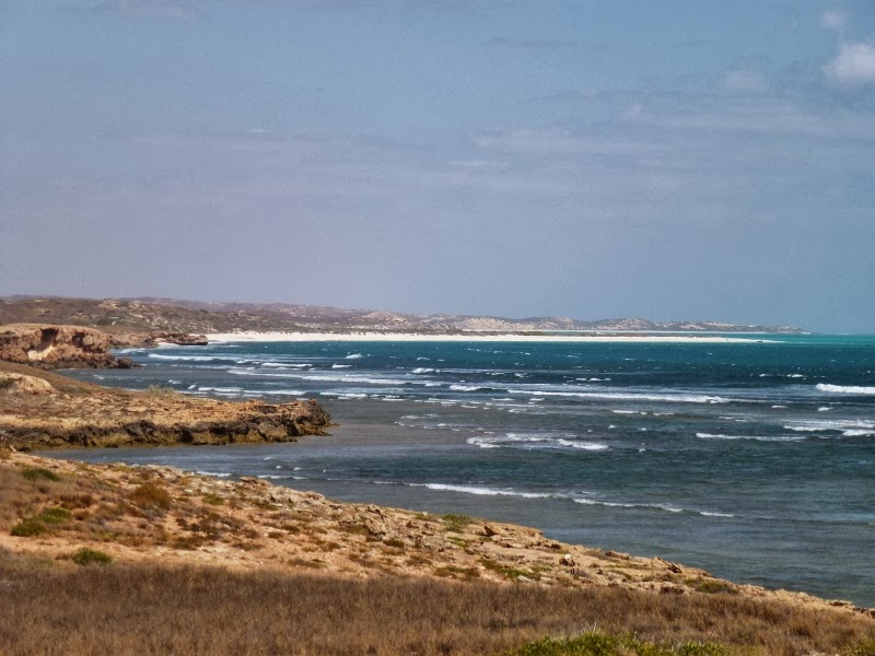 The Wandering Tops: Warroora Stn to Kalbarri