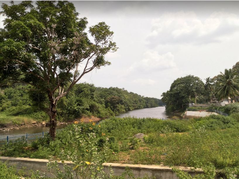Tamilnadu Tourism: Perunchani Dam, Kalkulam, Kanyakumari