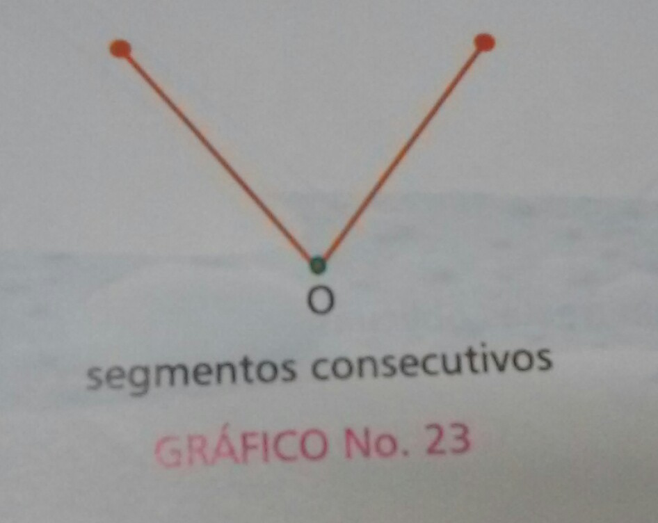 Geometria: Conceptos fundamentales de la Geometría