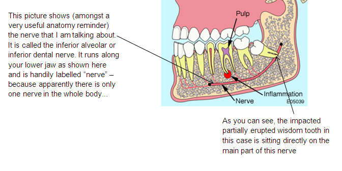 Smiles better, skins better: November 2013
