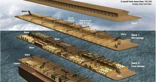 Perceptions From Beyond Time And Space: Noah's Ark Was More Than Big ...